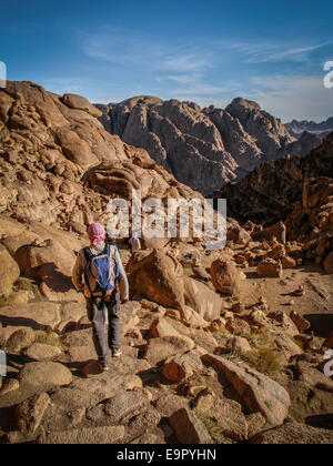 Mount Horeb, Sinai, Moses Mountain, landscape, mountains, palm trees ...