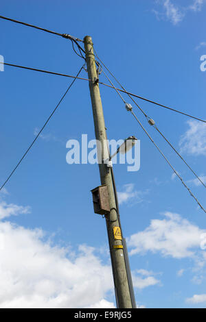 Wooden post for national electric grid with crossbars holding isolators ...