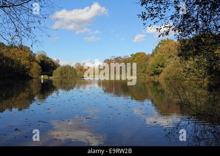 Epsom Common Local Nature Reserve, Surrey, England. 1st November Stock ...