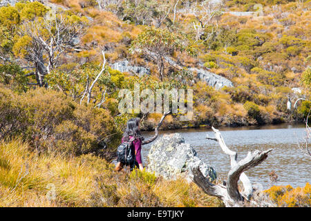Wombat Pool, Cradle Mountain National Park, Tasmania, Australia Stock ...