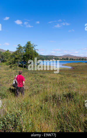 Caucasian Man Looking Towards Loch Tulla & Meall Beag, Argyll & Bute ...