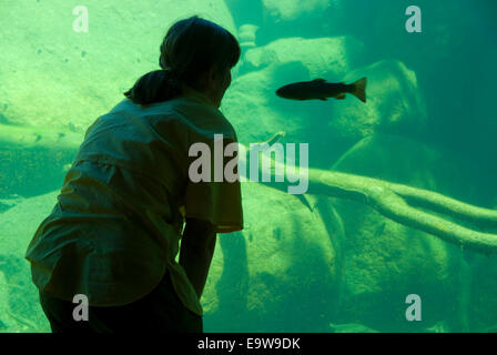 Stream Profile Chamber on Rainbow Trail, Lake Tahoe Basin National ...