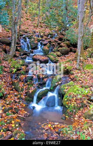 Great Smoky Mountains during autumn fall colors Stock Photo - Alamy