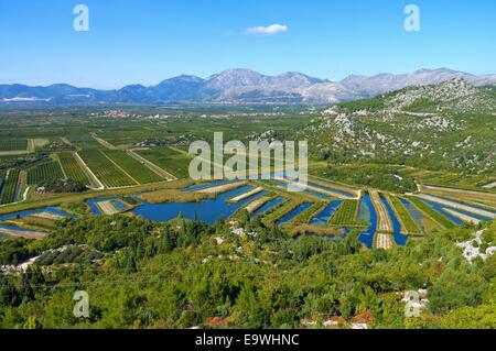 River Neretva delta Croatia Stock Photo - Alamy