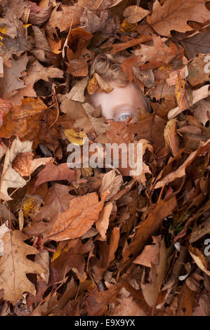 boy with glasses hidden in the leaves of a tree in the forest Stock ...