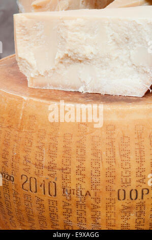 dop Typical italian cheese Parmigiano Reggiano (parmesan Stock Photo ...