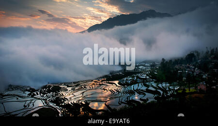 China, Yunnan Province, Yuanyang. Sunset over hillside of rice terraces ...