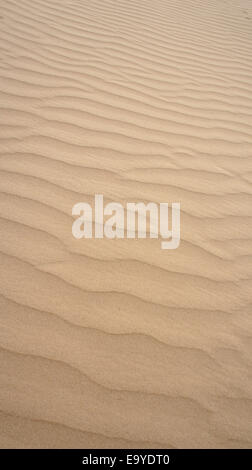 Qinghai Province the desert Stock Photo - Alamy
