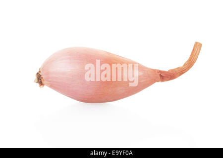 Ripe and tasty shallot onion for cooking Stock Photo - Alamy