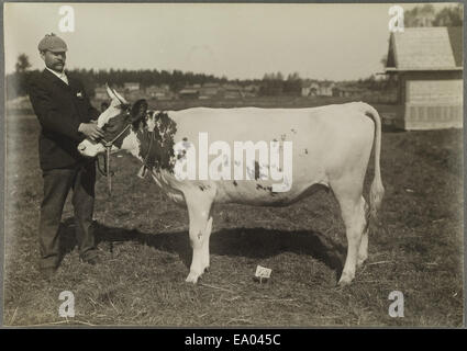 IK Inha's Finnish agriculture photography captures early 20th-century ...