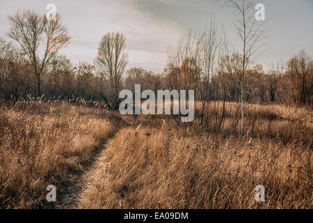 November landscape. Pale colors of the season Stock Photo - Alamy