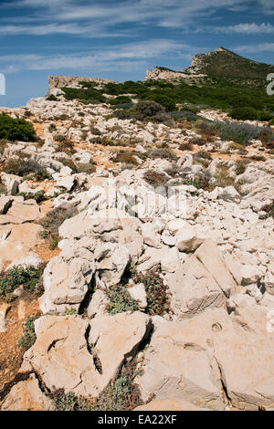 Porto Conte National Park, Alghero, Sardinia Island, Italy Stock Photo ...