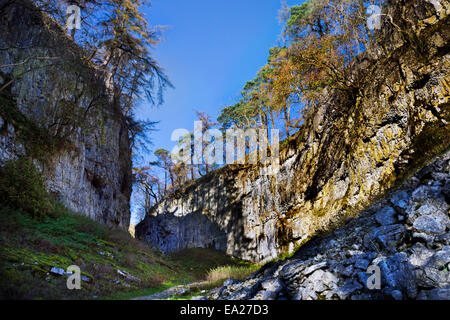 Trow Gill limestone gorge near the village of Clapham in the North ...