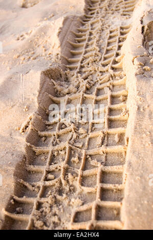 ruts in the mud on the dirt road left by tractor near the Senio river ...