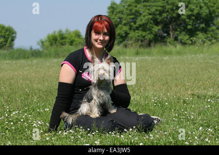 woman with Terrier-Mongrel Stock Photo - Alamy