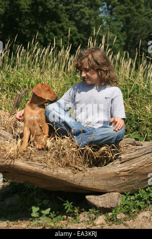 boy with Rhodesian Ridgeback Stock Photo - Alamy