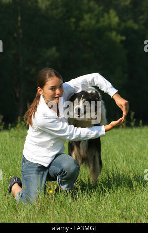 Woman training her dog jumping through tire at park Stock Photo - Alamy