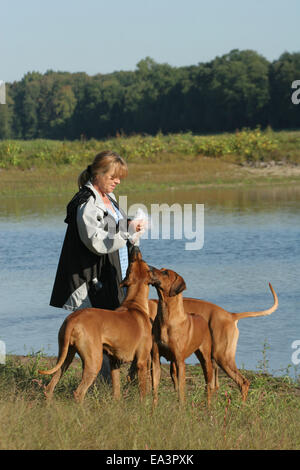 Two female friends standing at the lakeside, Lake Garda, Italy Stock ...