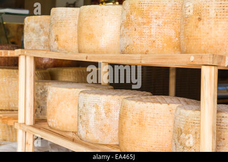 series of round forms of aged cheese for sale in the local market Stock ...