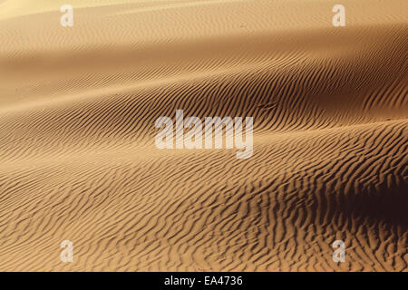Sandy waves are poured in solar beams. Early morning on the pink sand ...