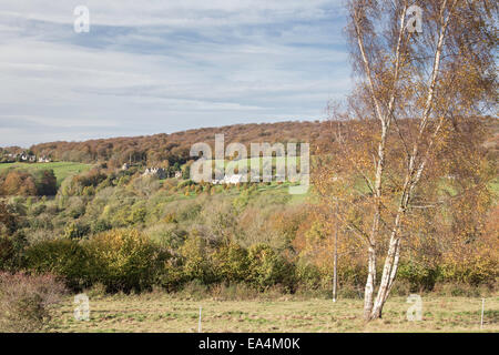 Autumn on Cranham Common part of Gloucestershire National Nature ...