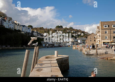 The River Looe separates East and West Looe in Cornwall Stock Photo - Alamy