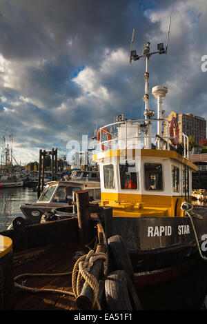 Tug boat and floating logs in Fraser River near New Westminster ...