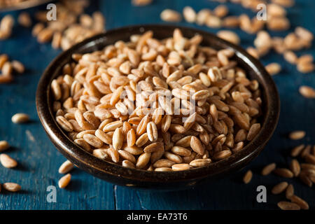 Organic Raw Farro Rice Grain in a Bowl Stock Photo - Alamy