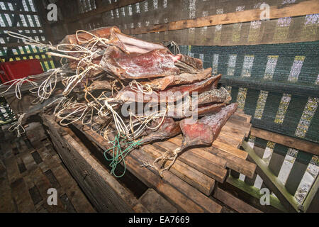 Shark meat drying in preparation for making it into 'rotten shark,' a ...