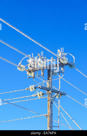 Electrical power pole with frost Stock Photo - Alamy