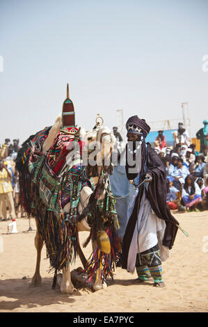 Touareg nomads in camel dressage contest - the Cure Salée festival ...