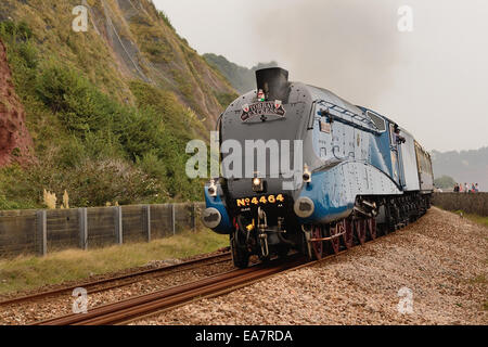 LNER A4 Class No. 4464 'Bittern' heads into the countryside on the ...