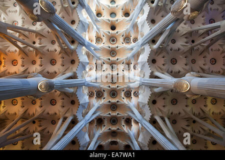Columns that branch out like trees and vault of the Sagrada Familia ...