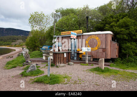 Steve Feltham, Loch Ness Monster Hunter, Loch Ness, Scotland Stock ...