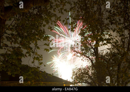 Wimbledon, London, UK. 8th Nov, 2014. Spectacular fireworks display in ...