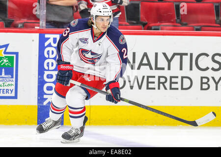 Columbus Blue Jackets' Brian Gibbons in action during an NHL hockey ...