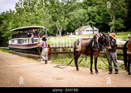 Mule team and drivers pulling Charles F Mercer, Great Falls Tavern, C&O ...