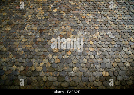 Old slate roof tiles with rounded edges in close-up Stock Photo - Alamy