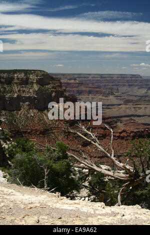 Bright Angel Shale in the Grand Canyon, Arizona, USA Stock Photo - Alamy
