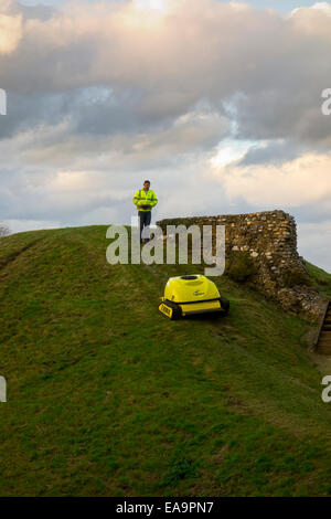 Commercial Lynex LX1000 remote radio controlled slope mower designed ...