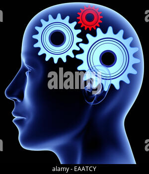 Human brain with gears inside. Thinking process concept. Vector Stock ...