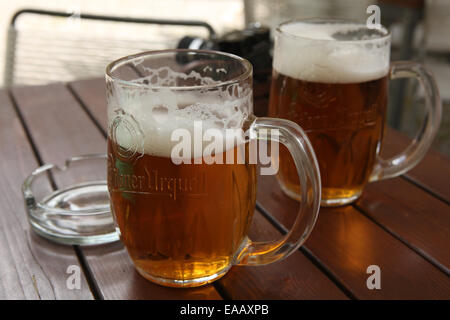 A Pilsner Urquell Czech beer is seen in a bar in Warsaw, Poland on 03 ...