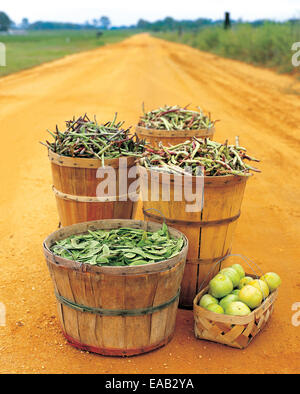 Road to the green garden Stock Photo - Alamy