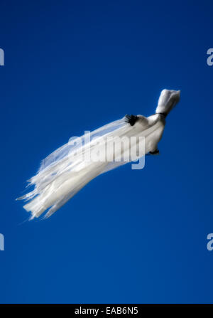 Skeleton spirit figure floating in the sky Stock Photo - Alamy