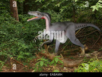 Troodon dinosaur, Cretaceous era Lifelike full-size dino statues at ...