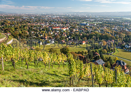 Panorama of the Radebeul Vineyards in Autumn, Elbe Valley, Saxony Stock ...