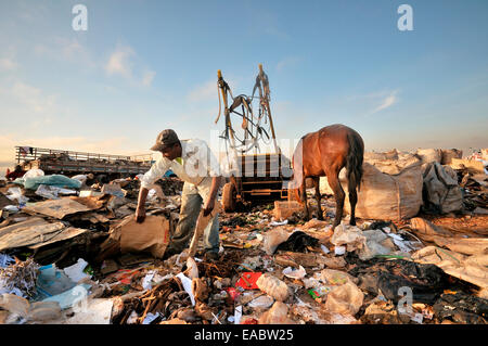 Brazil Estrutural near Brasilia waste collectors on a dump Stock Photo ...