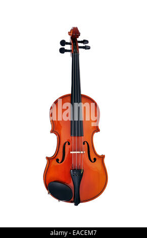 Violin front view isolated on white background. Violin front view ...