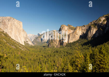 El Capitan probably the most famous climbing wall in Yosemite National ...