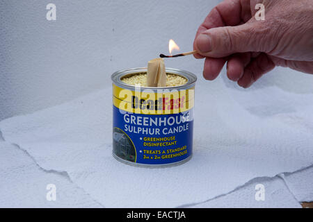 Cleaning a greenhouse with a smoke bomb,grenade,sulphur,candle, to kill ...